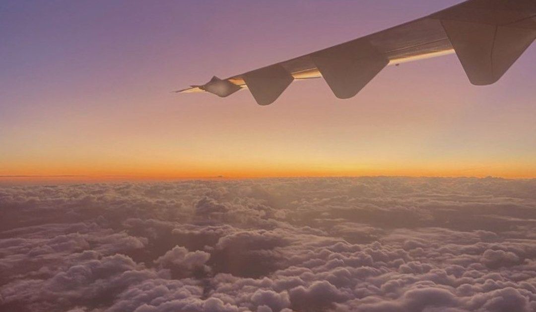 Flight Attendant Aerlink Australia - AviationJobs